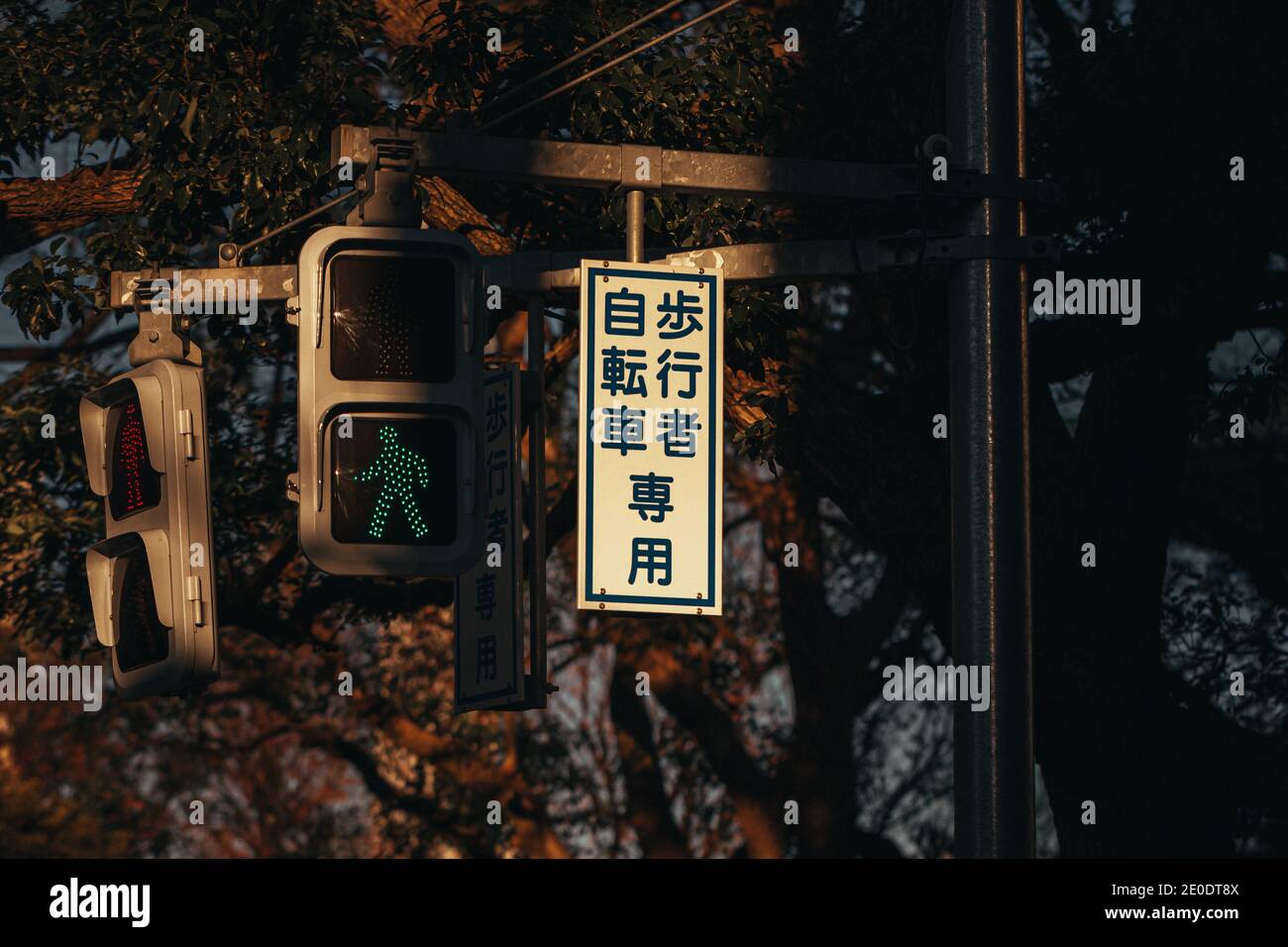 Japanese Street Crossing Lights at Sunset (Sign reads "Pedestrians and ...