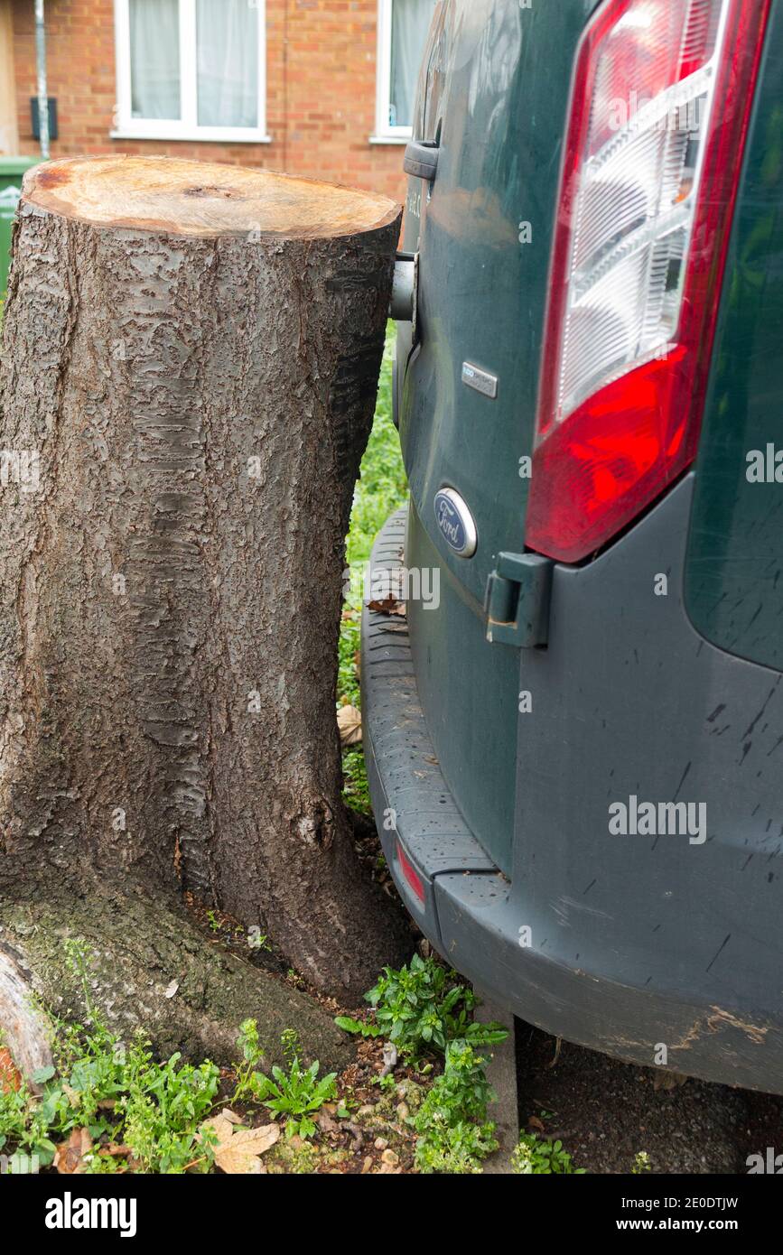 Locking stump hi-res stock photography and images - Alamy