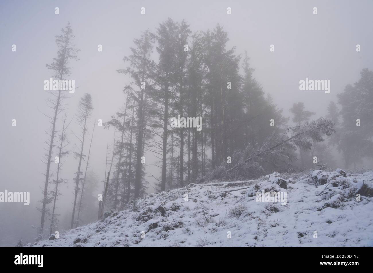 The hafod arch hi-res stock photography and images - Alamy