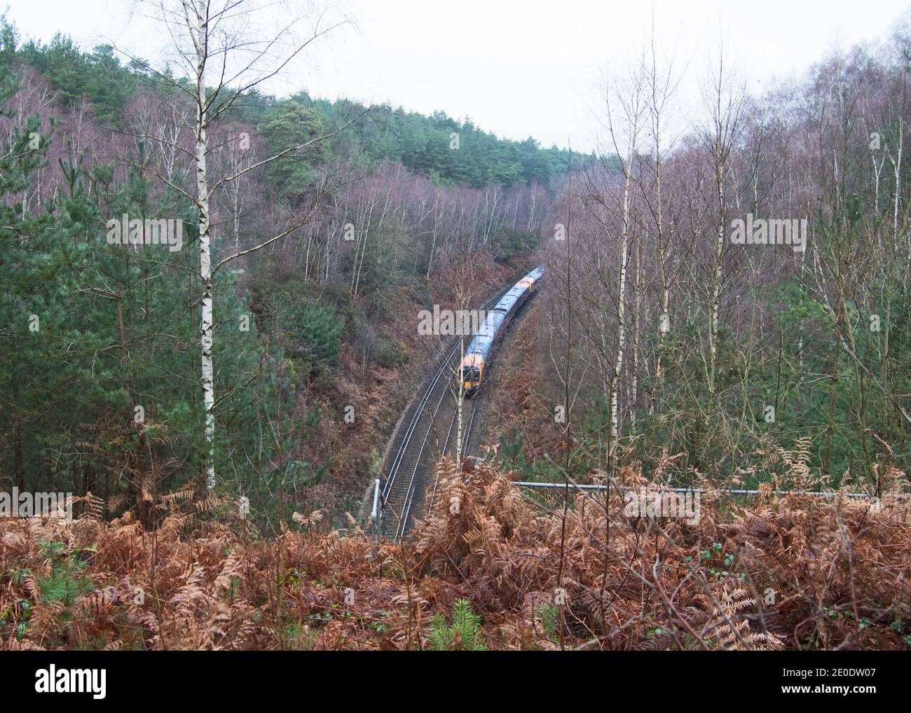 Train passing under Pirbright Ranges in winter, Surrey, England Stock ...