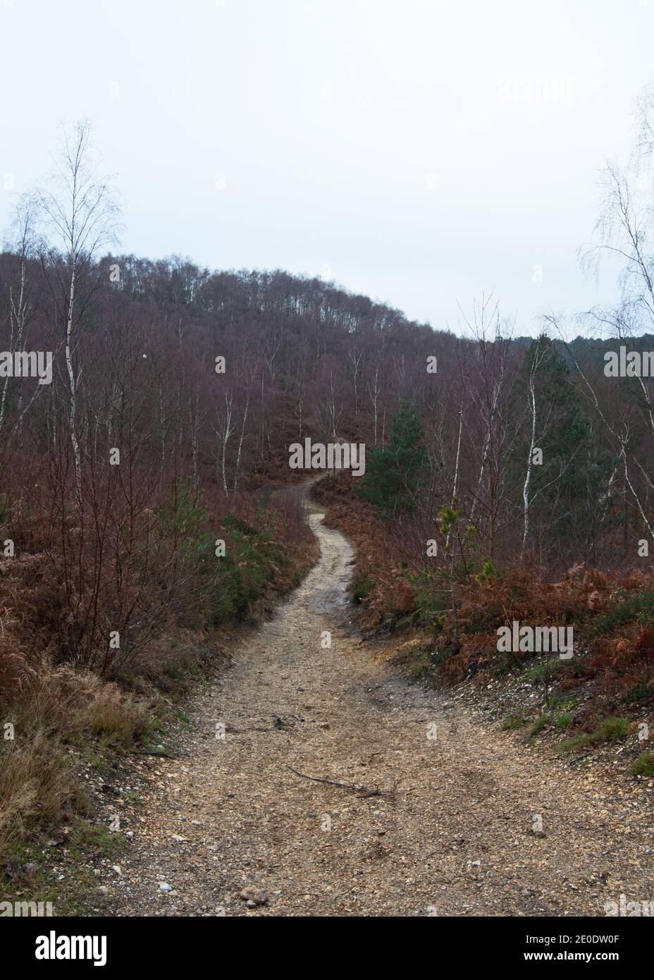 Pirbright ranges hi-res stock photography and images - Alamy
