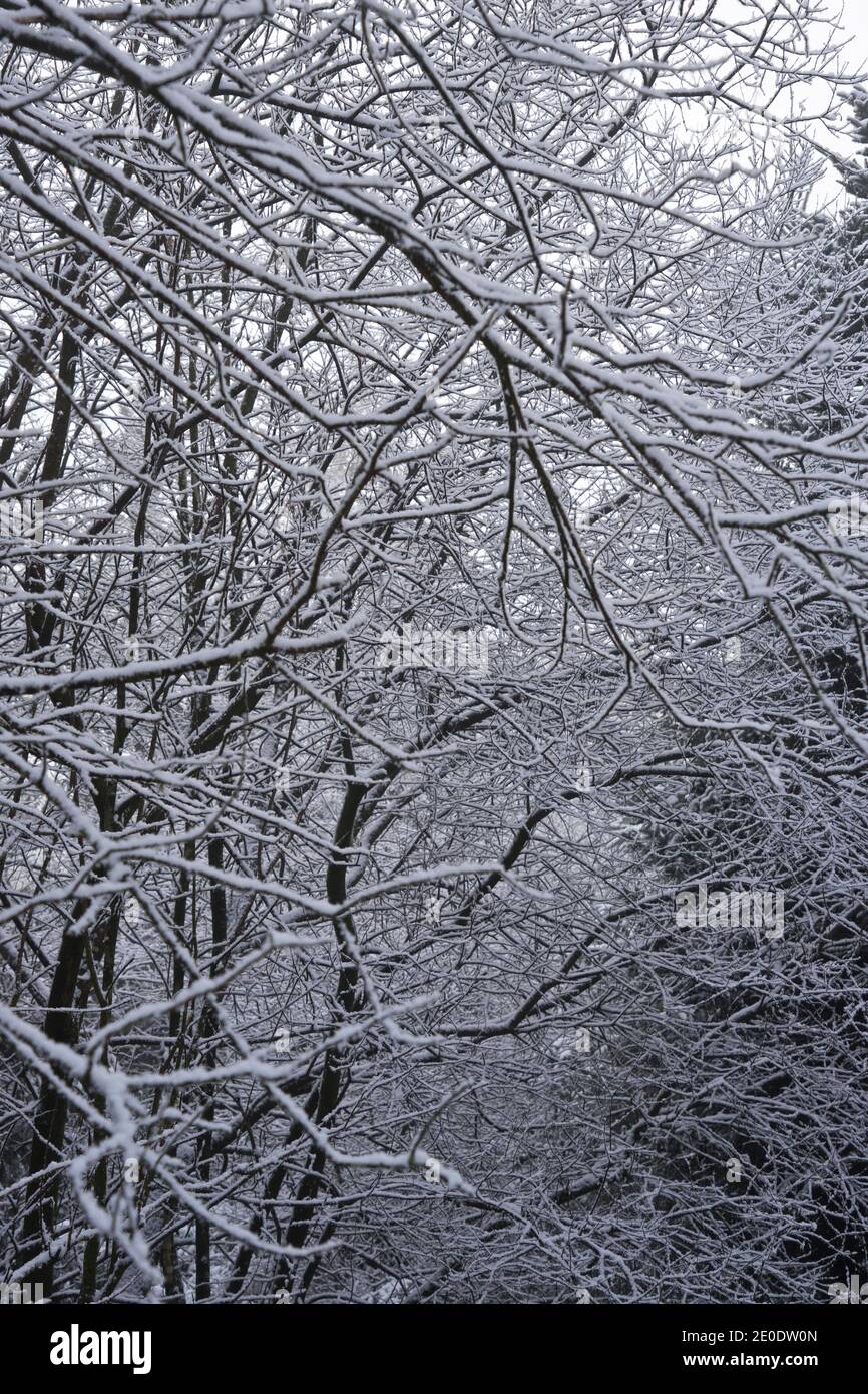 Hafod arch hi-res stock photography and images - Alamy