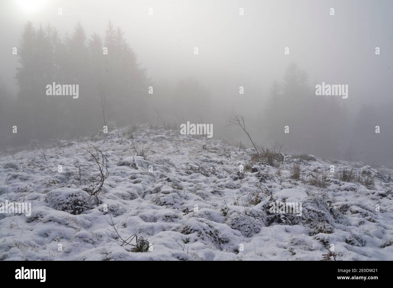 The Hafod Arch High Resolution Stock Photography and Images - Alamy