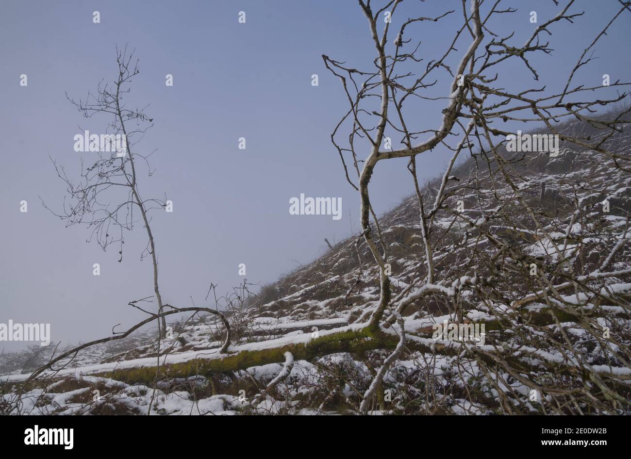 Hafod arch hi-res stock photography and images - Alamy