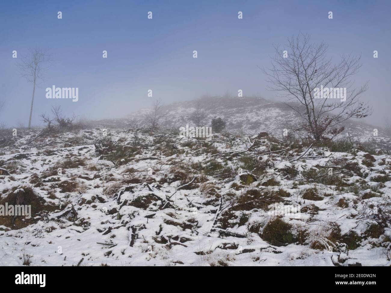 The hafod arch hi-res stock photography and images - Alamy