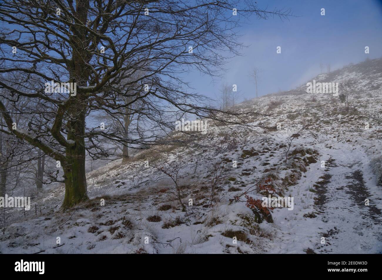 The Hafod Arch High Resolution Stock Photography and Images - Alamy