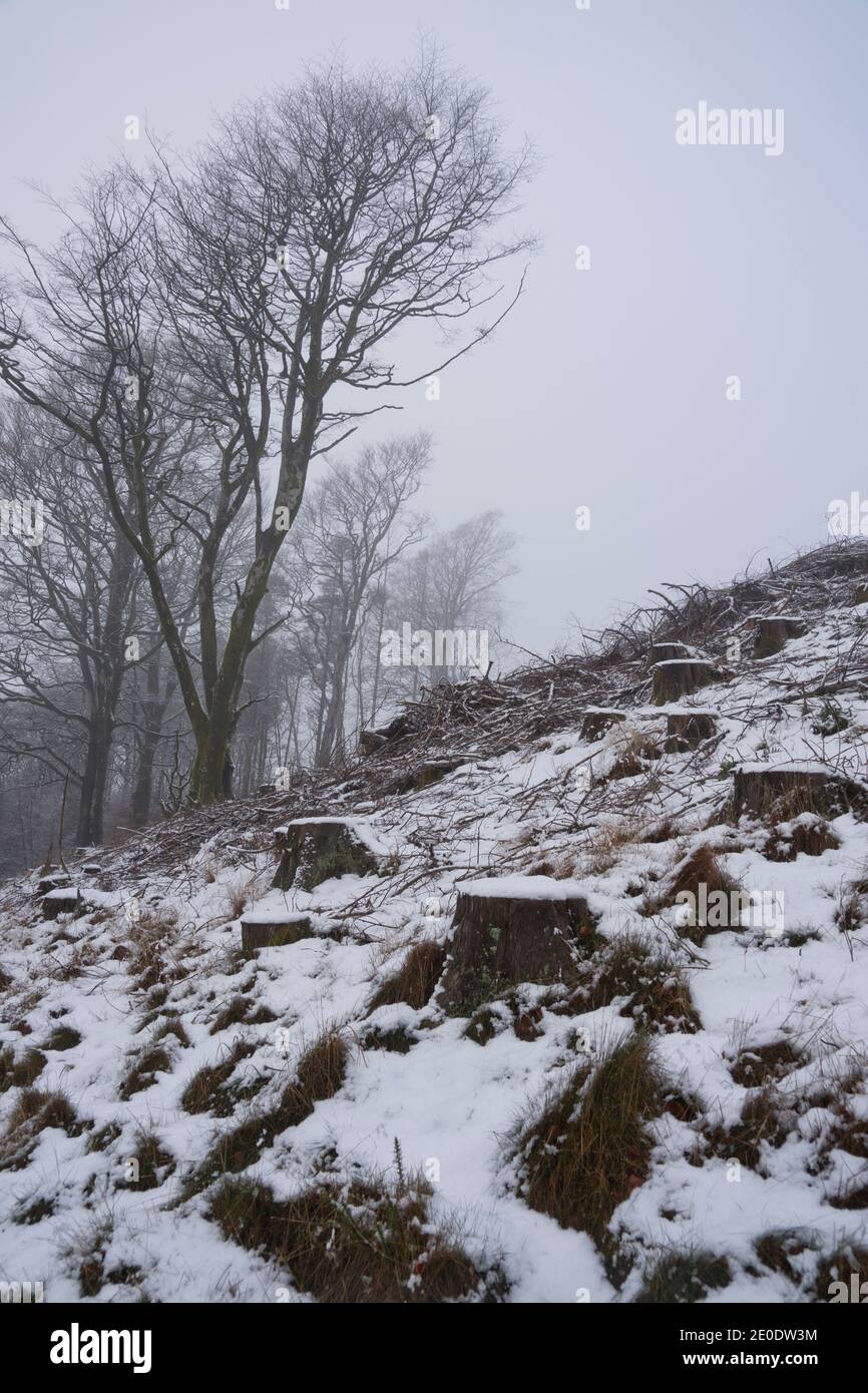 Hafod arch hi-res stock photography and images - Alamy