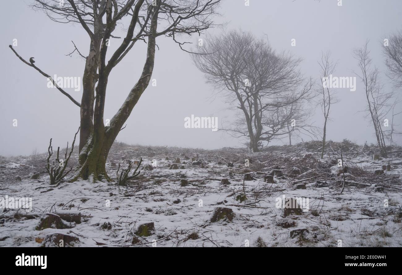 The hafod arch hi-res stock photography and images - Alamy