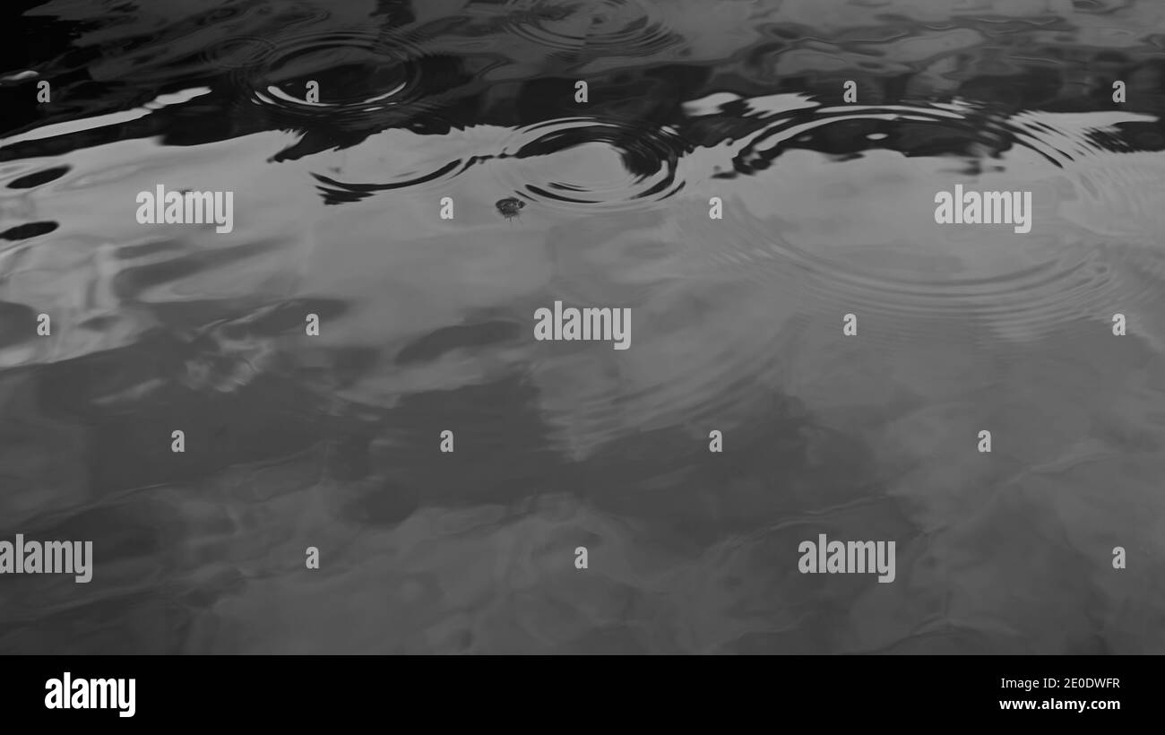 Black and white monochrome image of dark shadow reflection in water ...