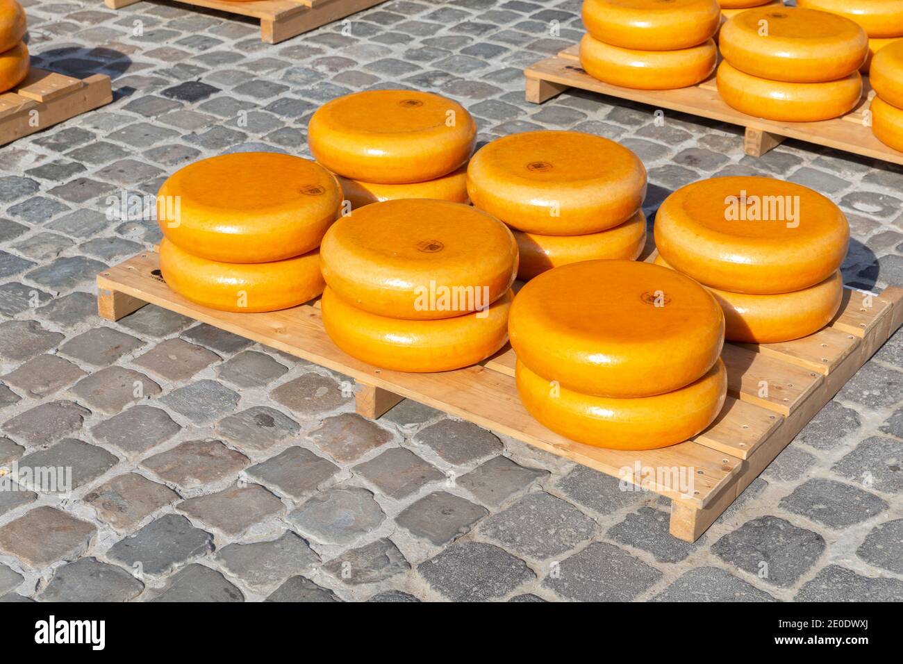 Wheels of Gouda Cheese at the Gouda Cheese Market Stock Photo - Alamy