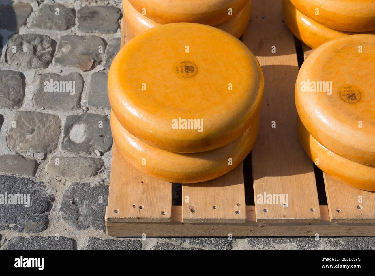 Wheels of Gouda Cheese at the Gouda Cheese Market Stock Photo - Alamy