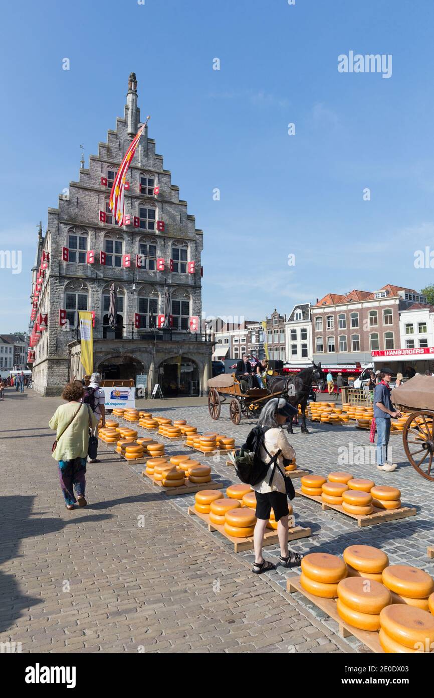 Gouda Cheese is placed in small stacks in front of the historic Town ...