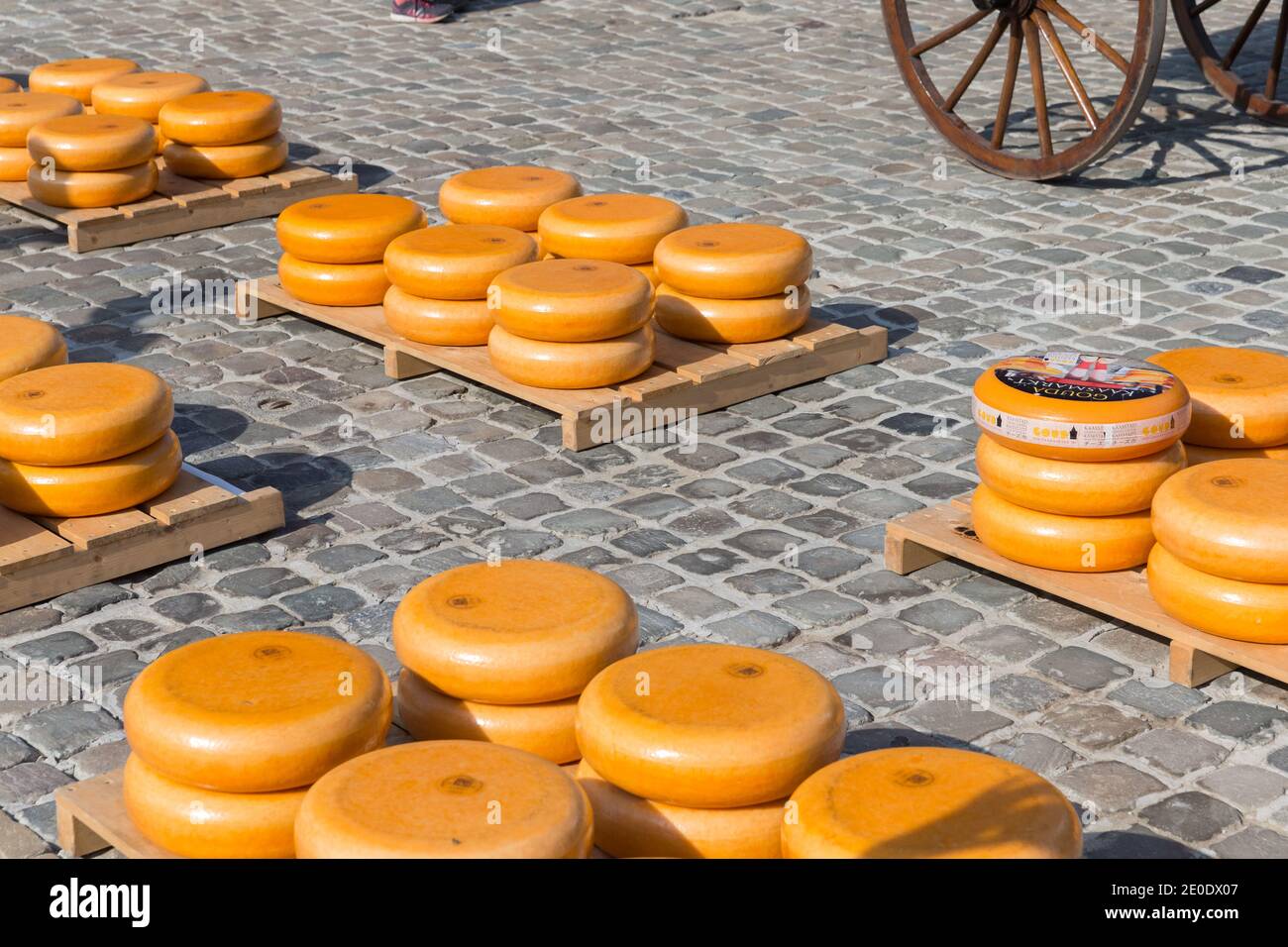 Wheels of Gouda Cheese at the Gouda Cheese Market Stock Photo - Alamy