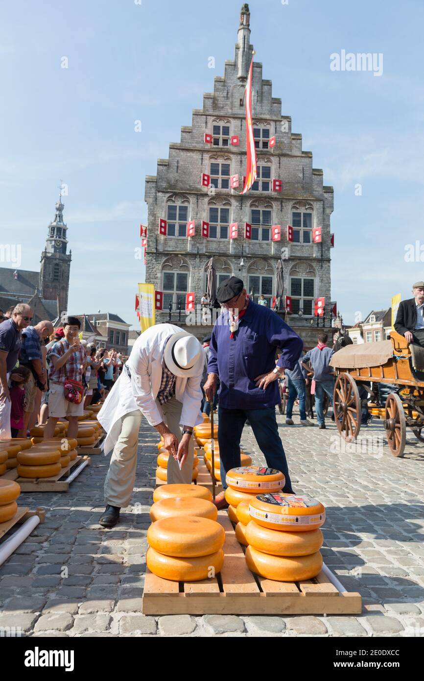 Cheese trader assesses the cheese by taking a sample with a small tool ...