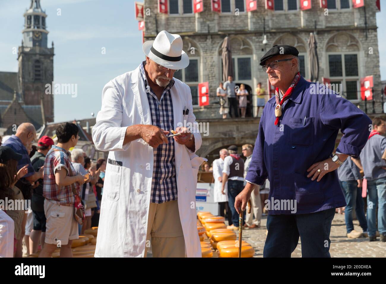 Cheese trader assesses the cheese by taking a sample with a small tool ...