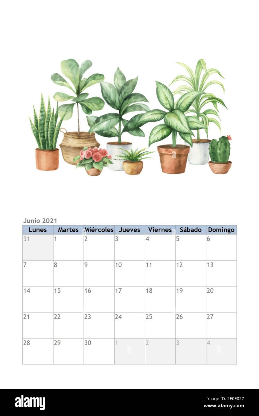 Poster, banner, background, cover, card related to 2021 calendar. June ...