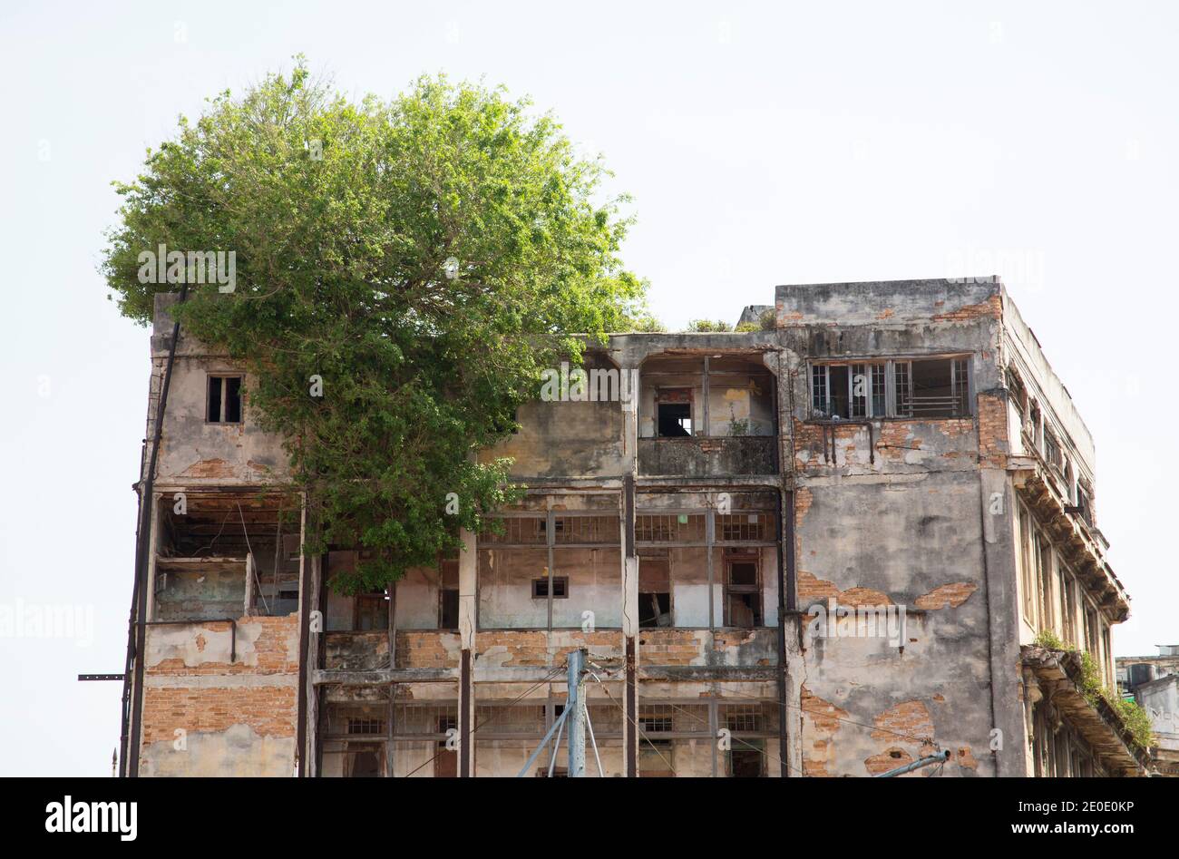 Havana cuba derelict building hi-res stock photography and images - Alamy