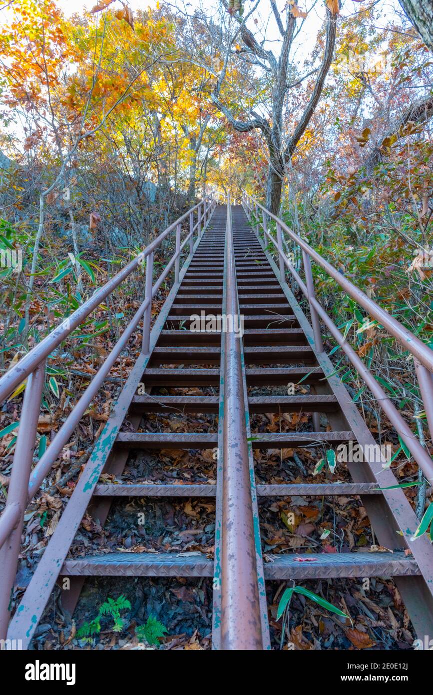 Staircase at Naejangsan national park in republic of Korea Stock Photo ...