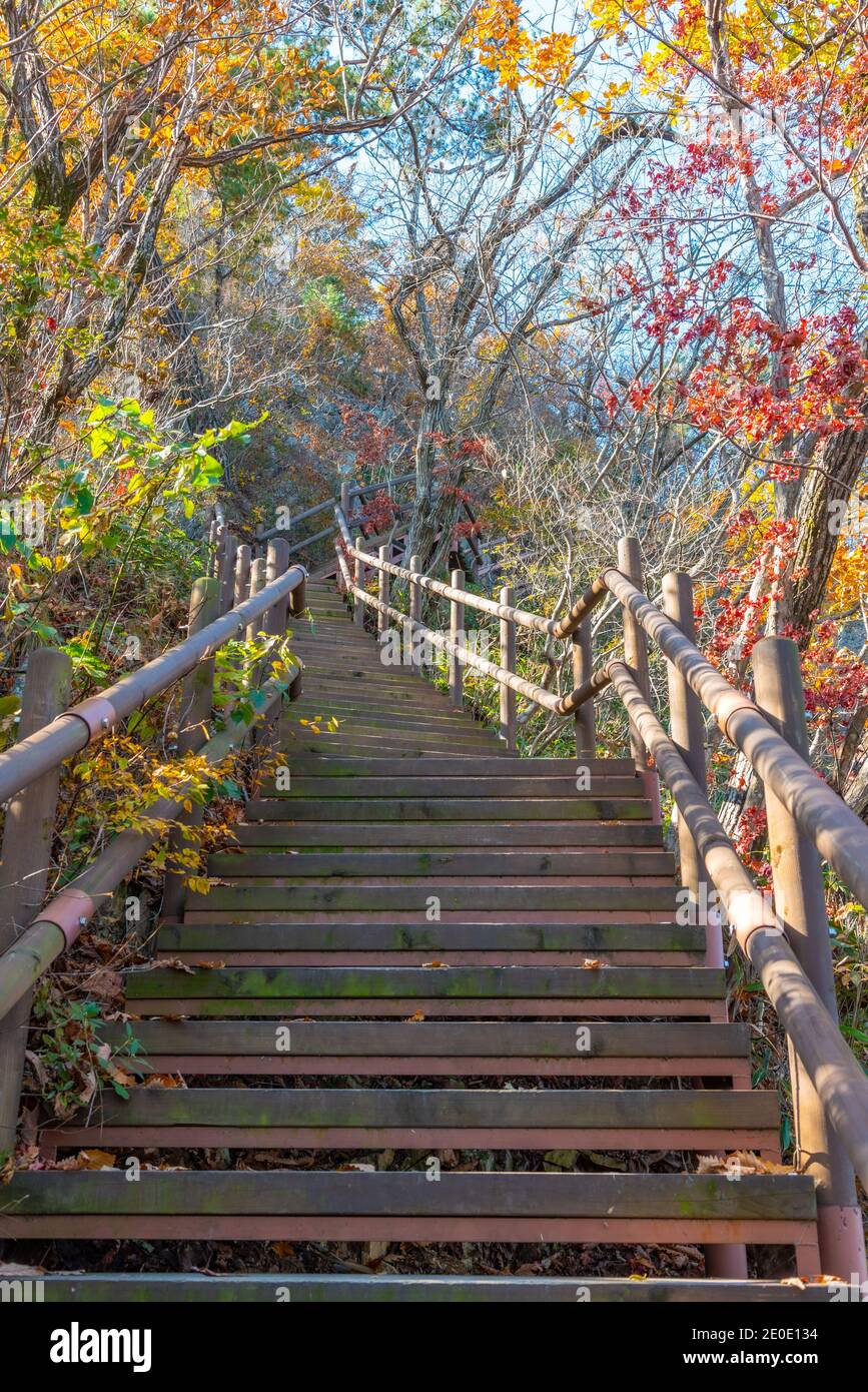Staircase at Naejangsan national park in republic of Korea Stock Photo ...