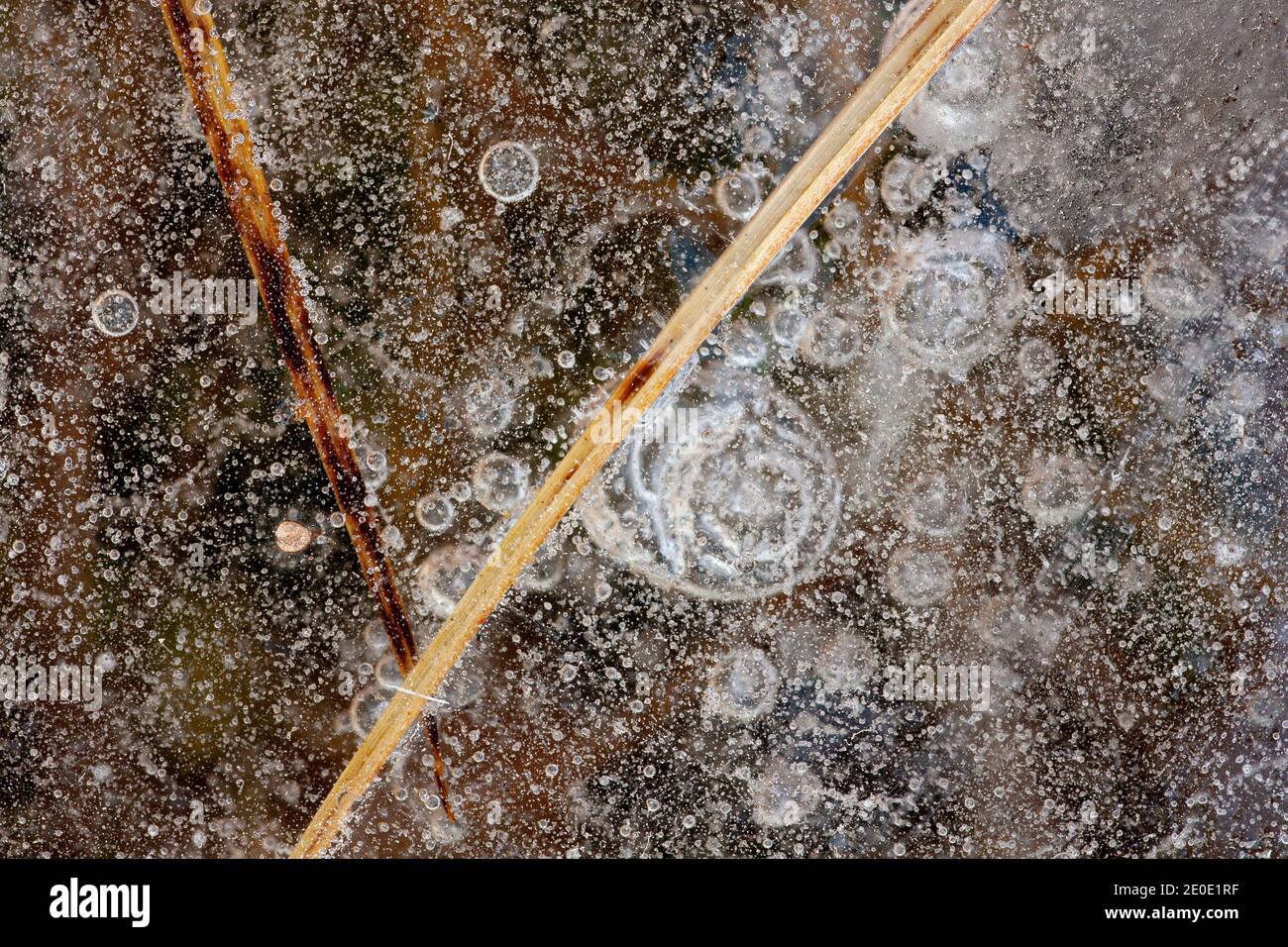 Ice on frozen pond Stock Photo - Alamy