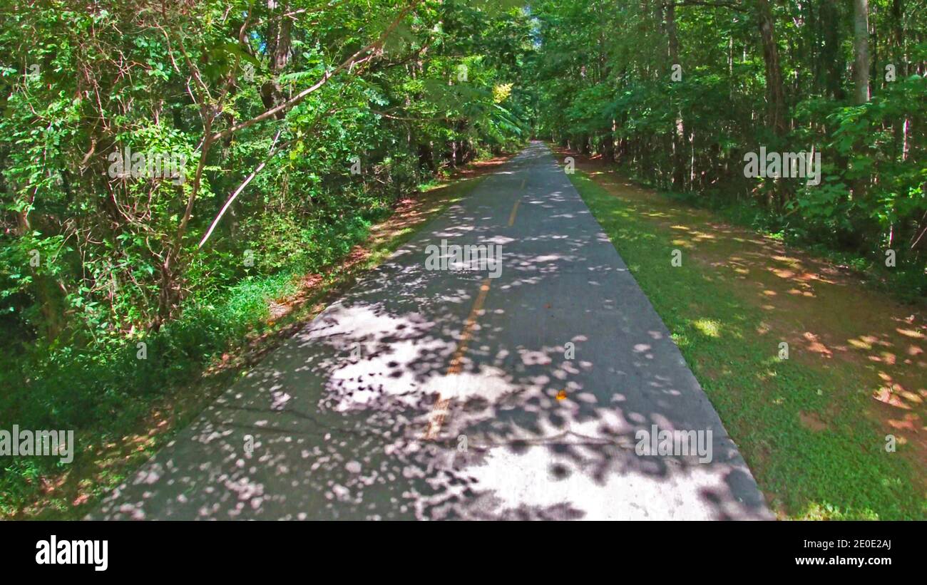 Long straight forest trail hi-res stock photography and images - Alamy