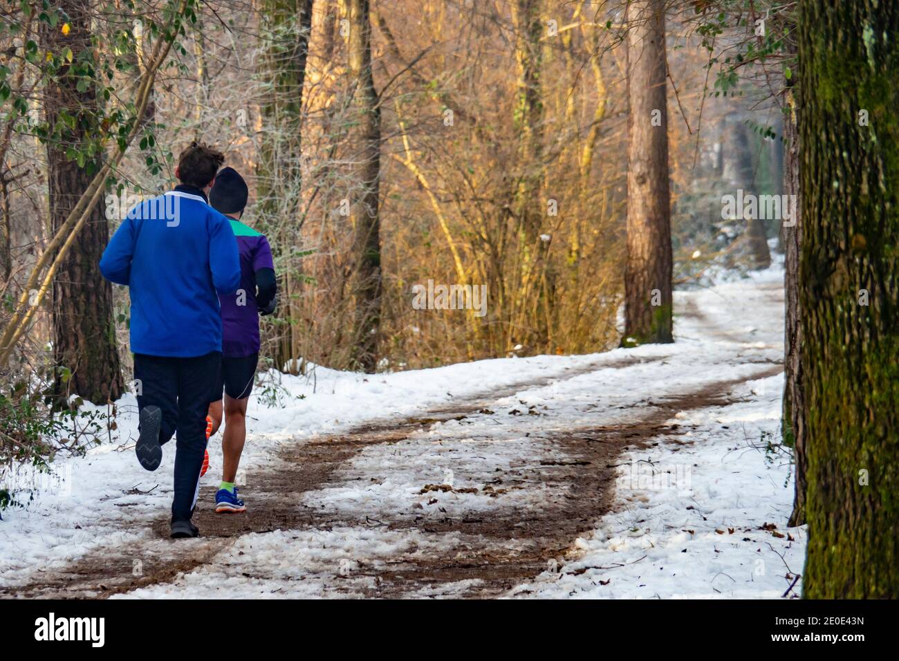 Woodland trekker hi-res stock photography and images - Alamy