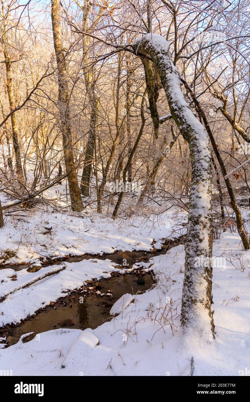 Shamokin hi-res stock photography and images - Alamy