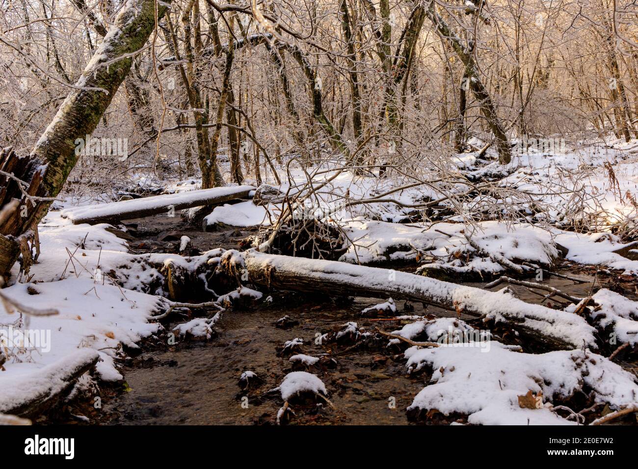 Snow covered log and wooden bridge over rocky stream running through ...