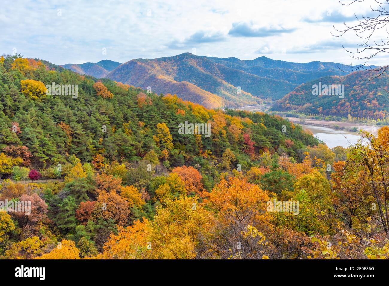 Autumn foliage in korea hi-res stock photography and images - Alamy