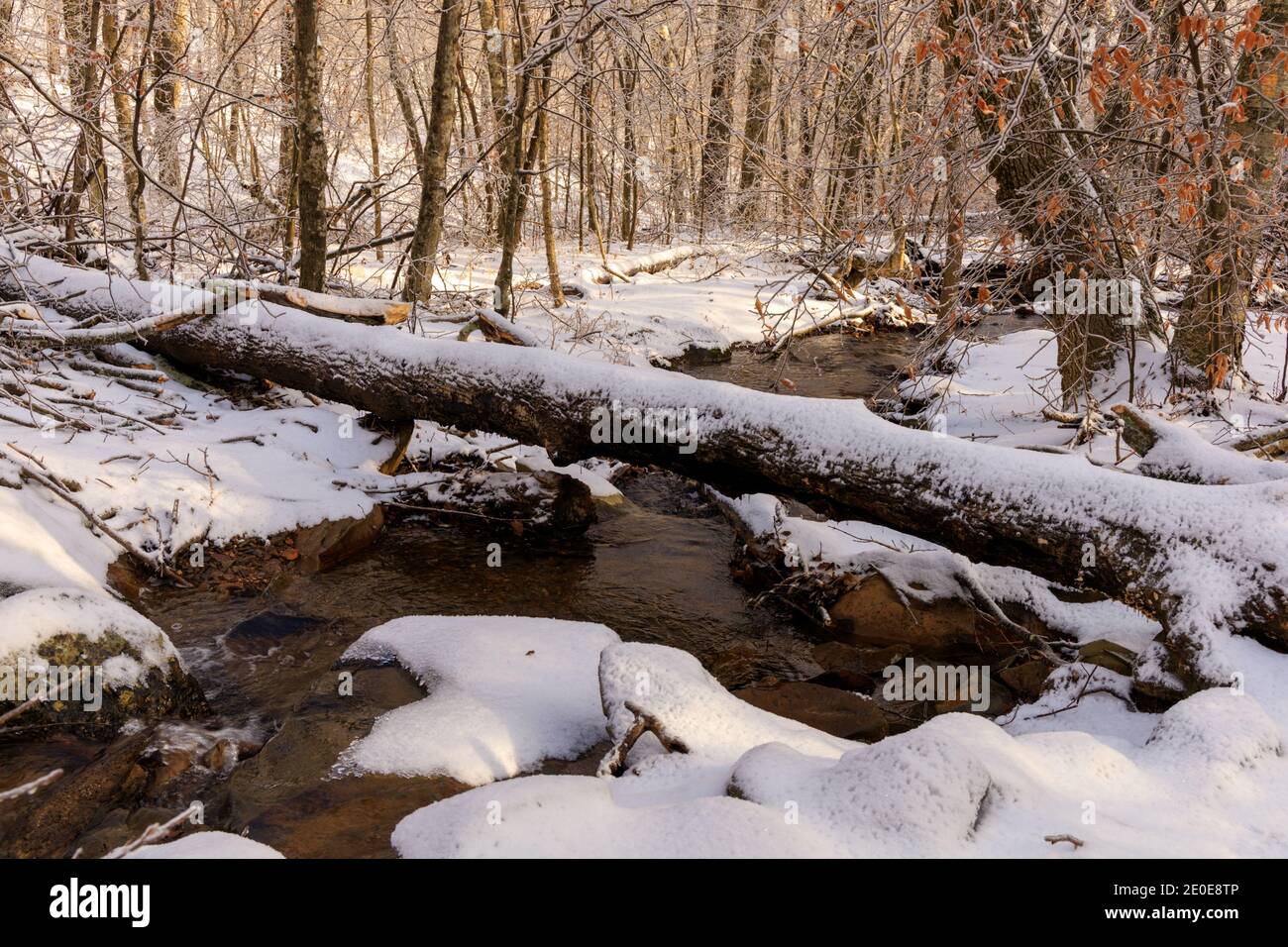 Shamokin hi-res stock photography and images - Alamy