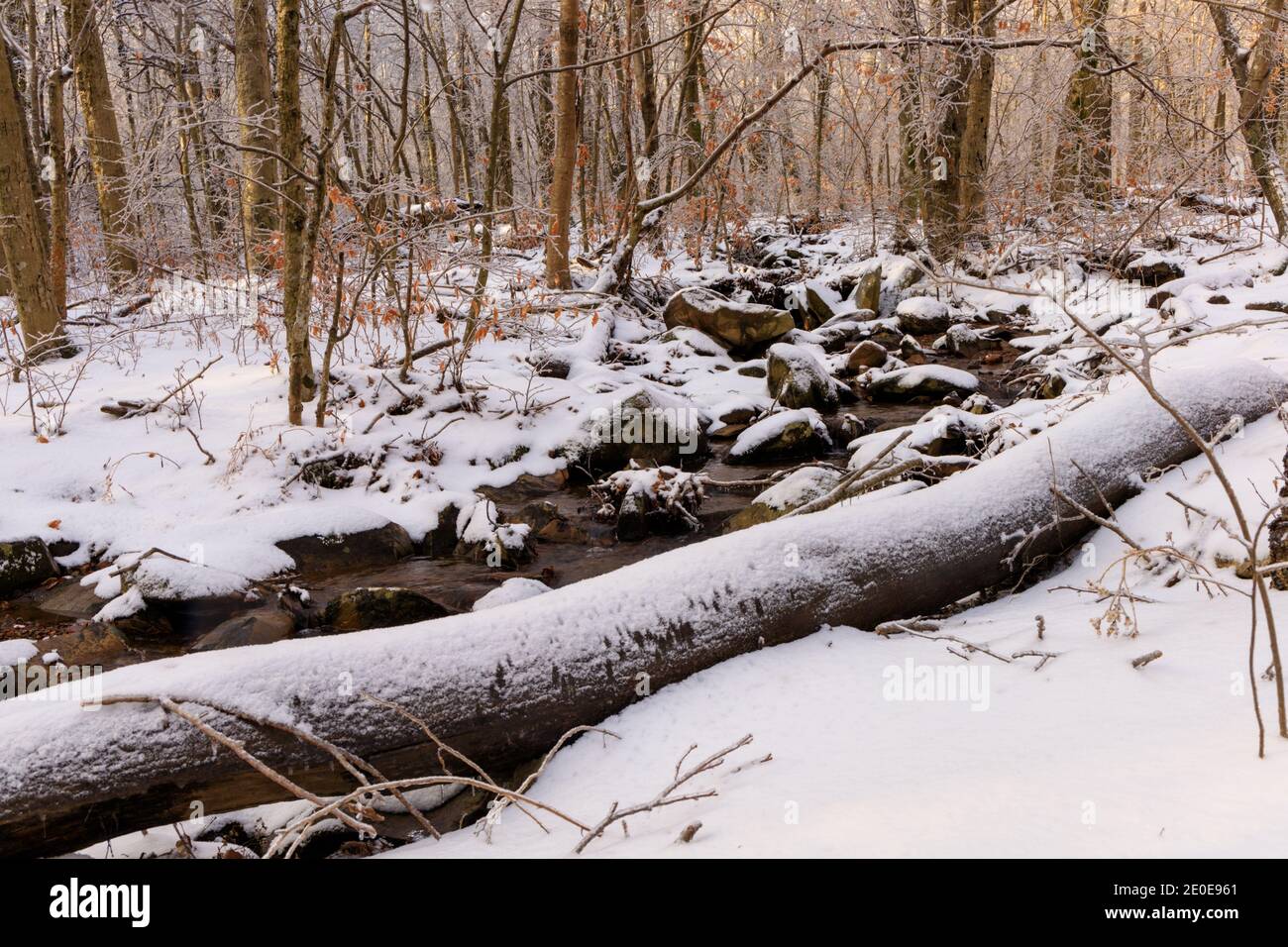 Shamokin hi-res stock photography and images - Alamy