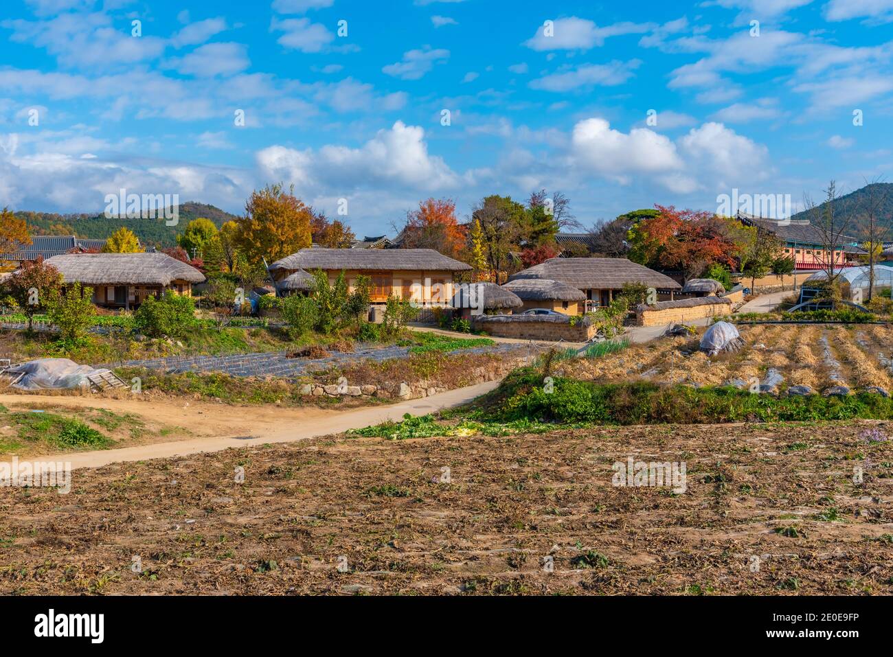 Typical farm houses at Hahoe folk village in Republic fo Korea Stock ...