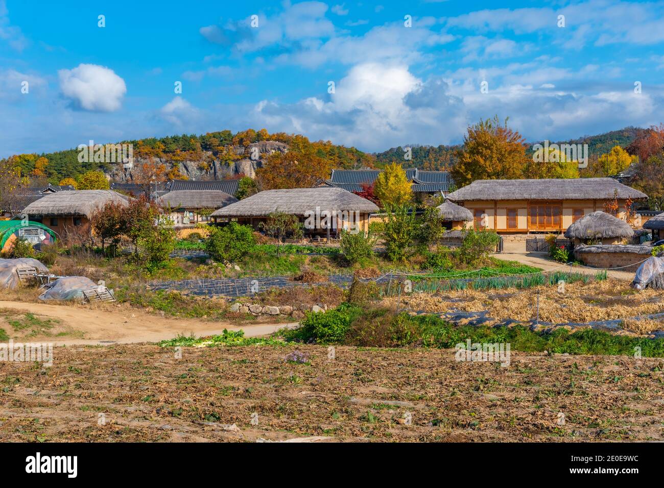 Typical farm houses at Hahoe folk village in Republic fo Korea Stock ...