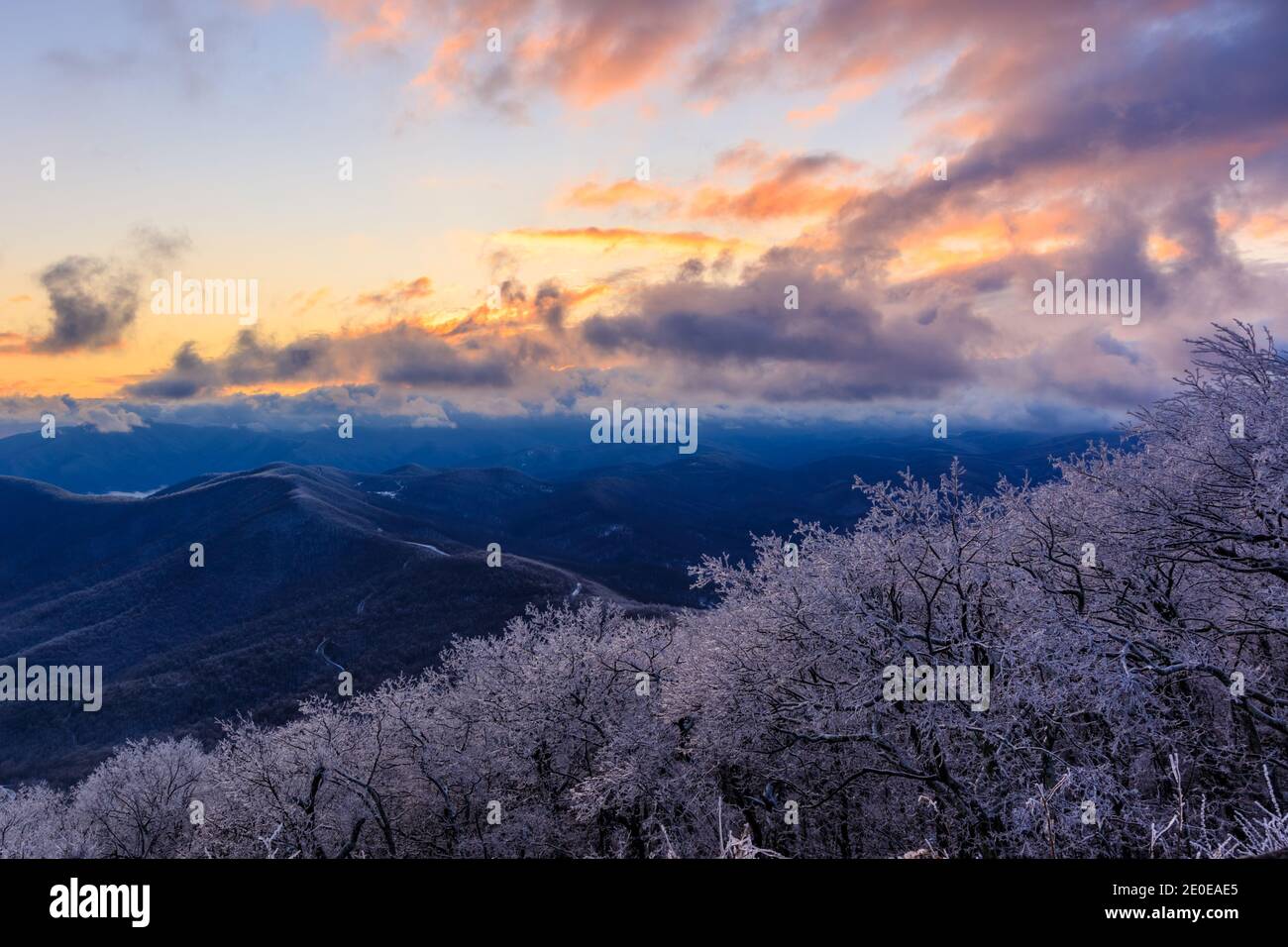 Overlook of tree covered mountains hi-res stock photography and images ...