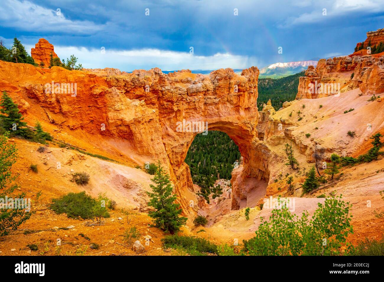 View of Bryce Natural Bridge in Bryce Canyon National Park, Utah Stock ...