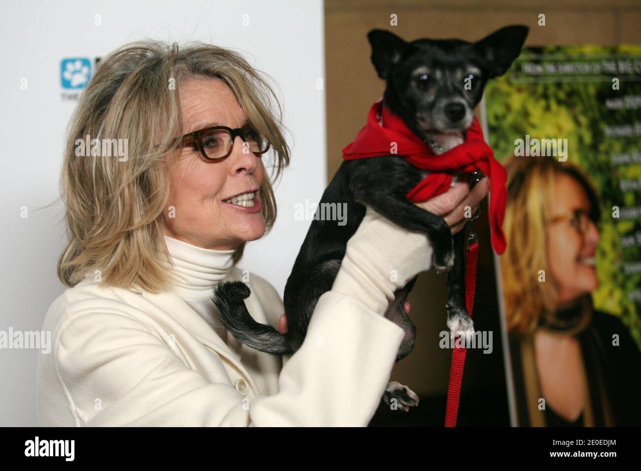 Darling Companion Darling Companion