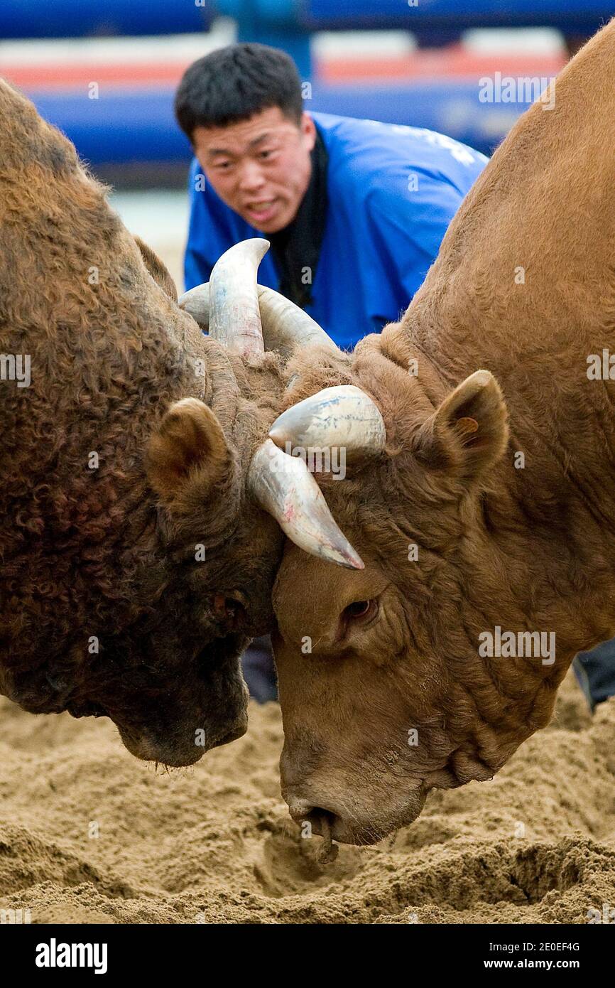 Cheongdo hi-res stock photography and images - Alamy