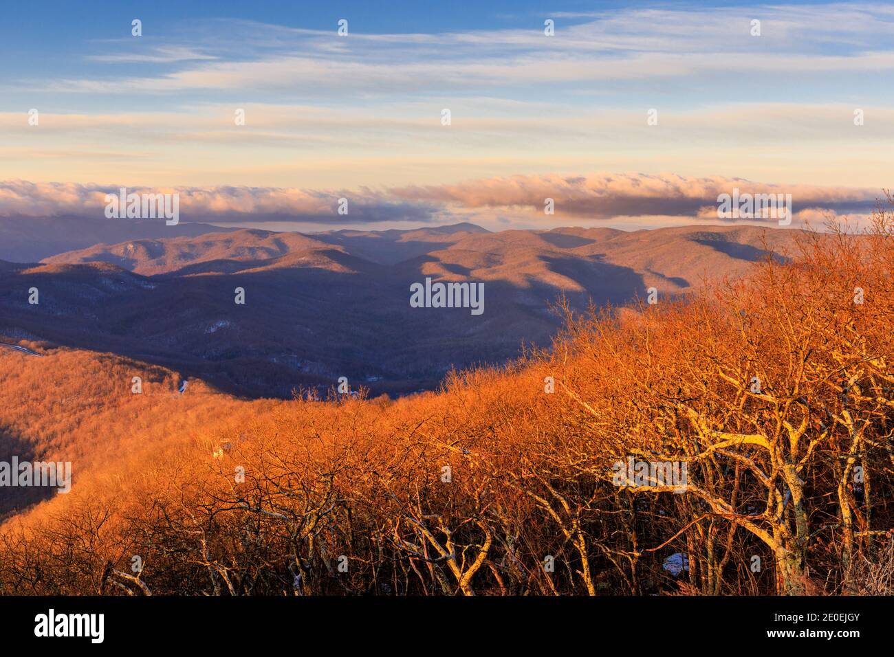 Devil's Knob Overlook– Blue Ridge Mountains and brightly lit oak trees ...