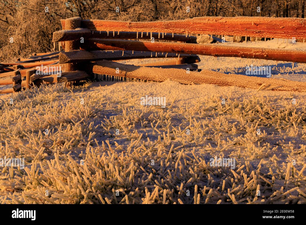Split rail fence with snow hi-res stock photography and images - Alamy