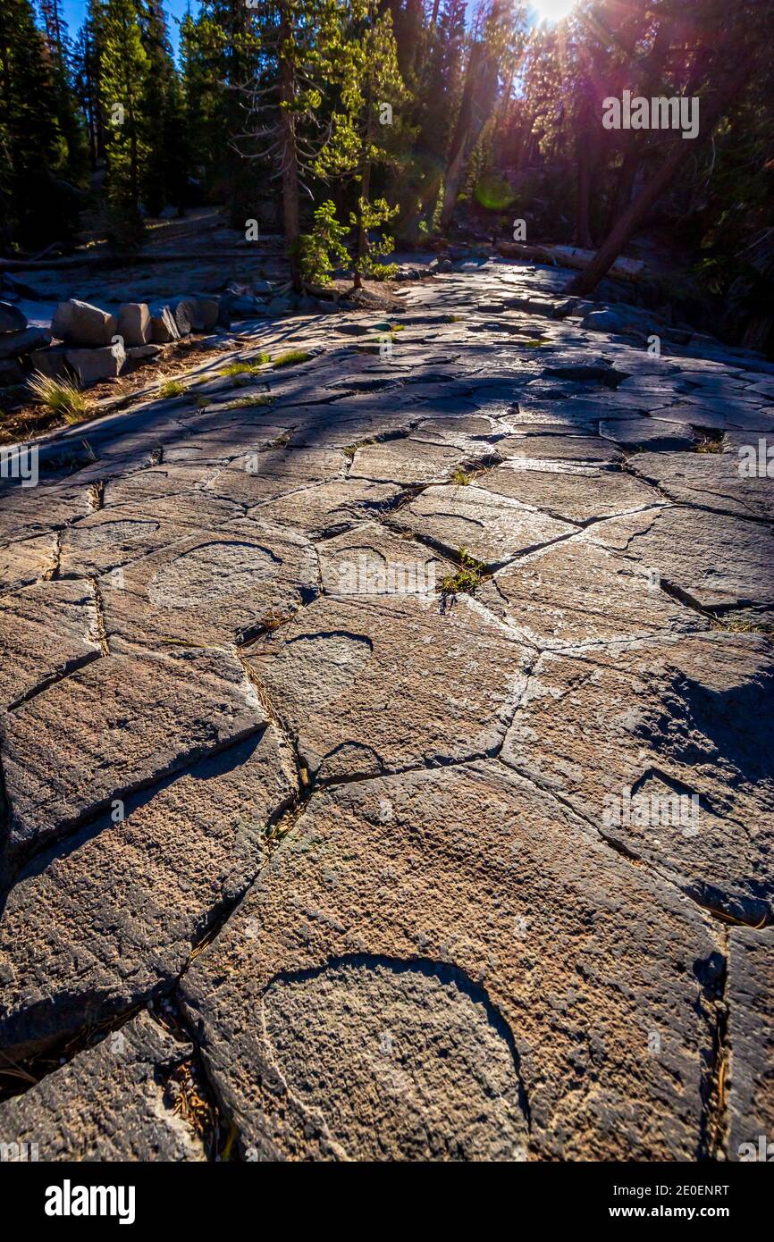 The tops of the postpile columns at Devils Postpile National Monument ...