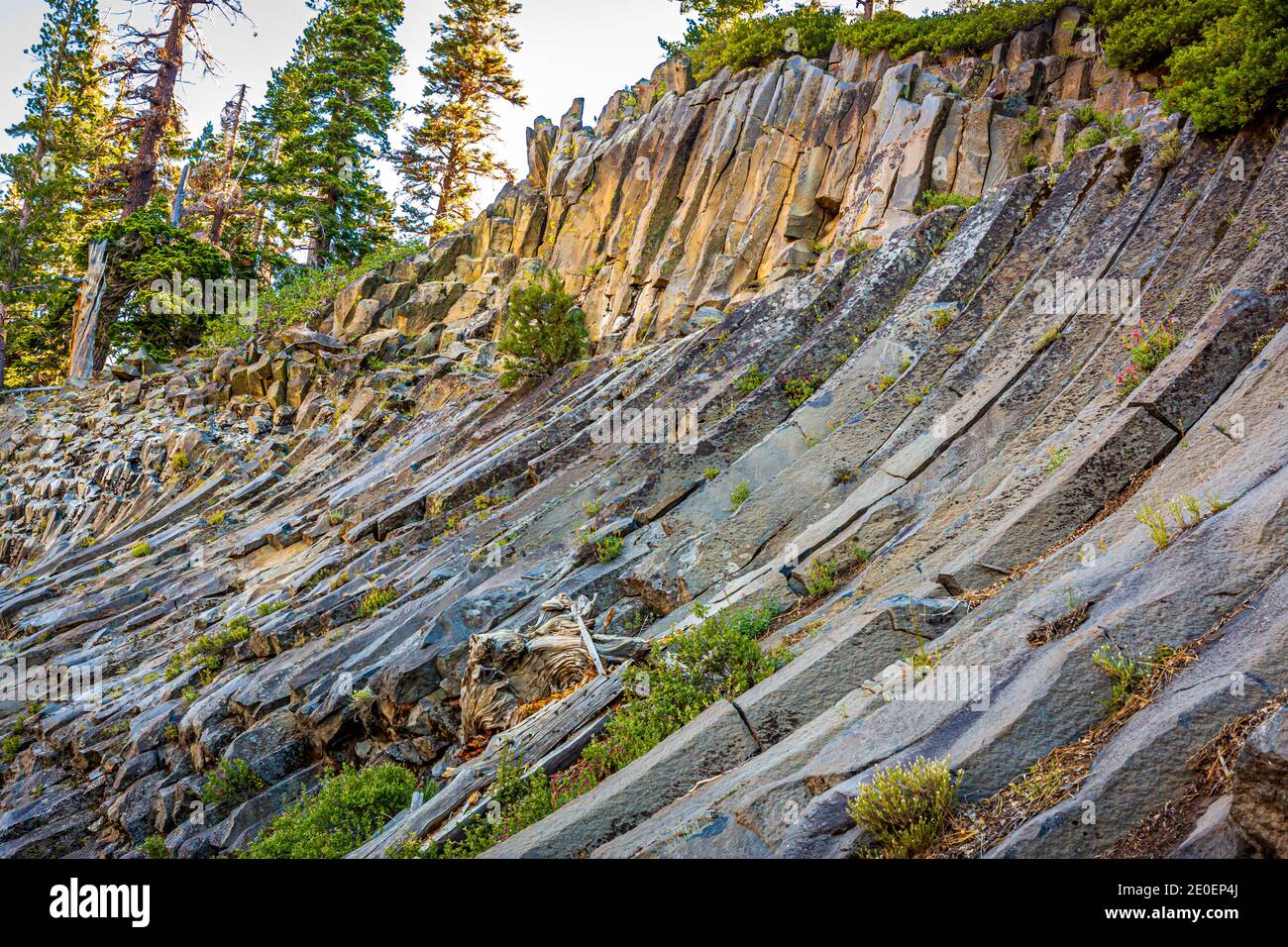 The unusual rock formation of columnar basalt at Devils Postpile ...