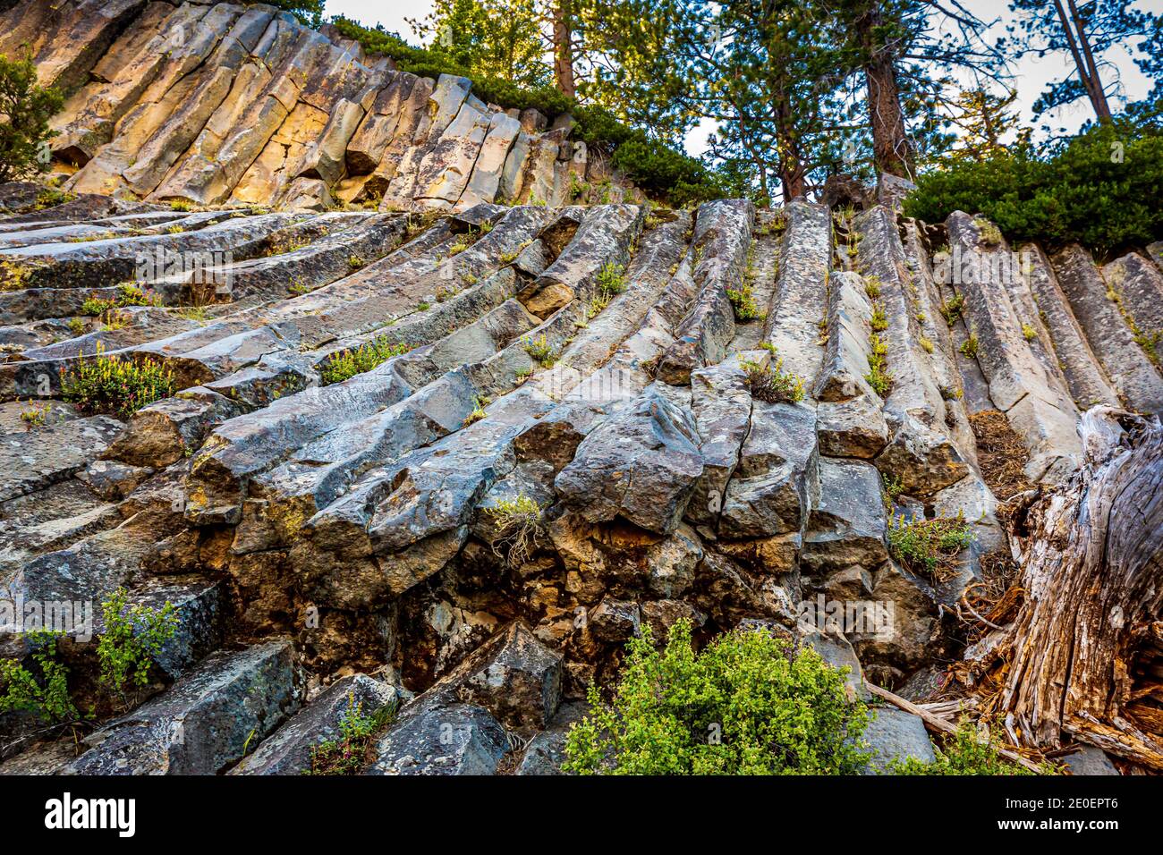 The unusual rock formation of columnar basalt at Devils Postpile ...