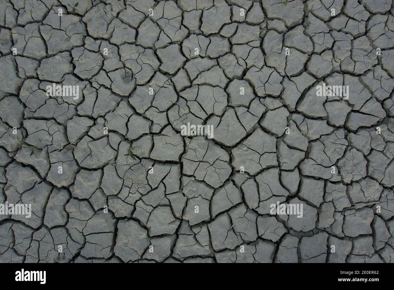 Crack soil on dry season, Global worming effect in spain Stock Photo ...