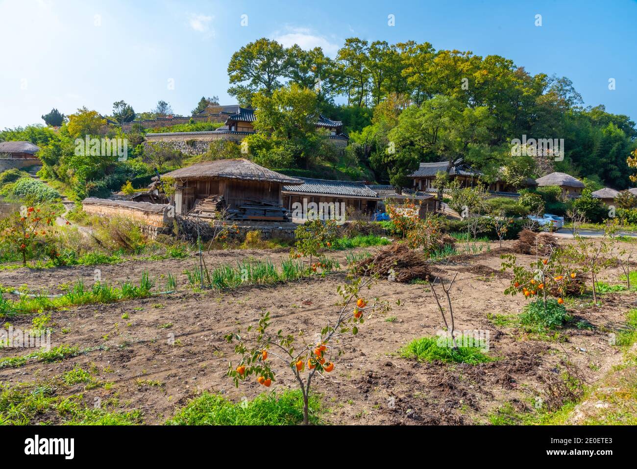 Typical farm houses at yangdong folk village in Republic fo Korea Stock ...