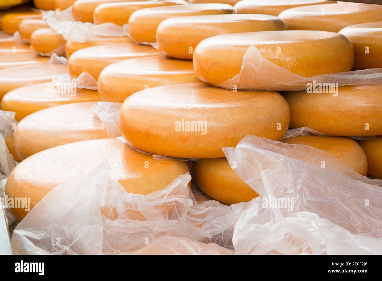Wheels of Gouda Cheese stacked in a wagon after the market Stock Photo ...