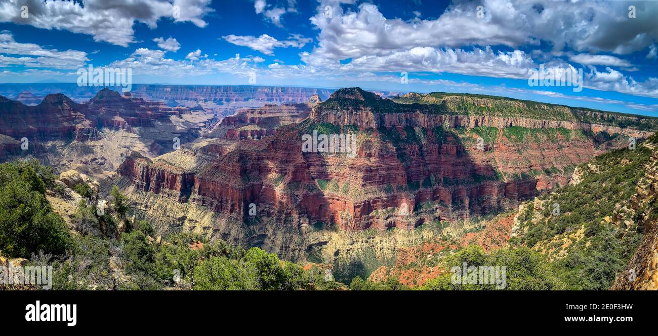 Grand Canyon National Park viewed from North Rim, at Bright Angel Point ...