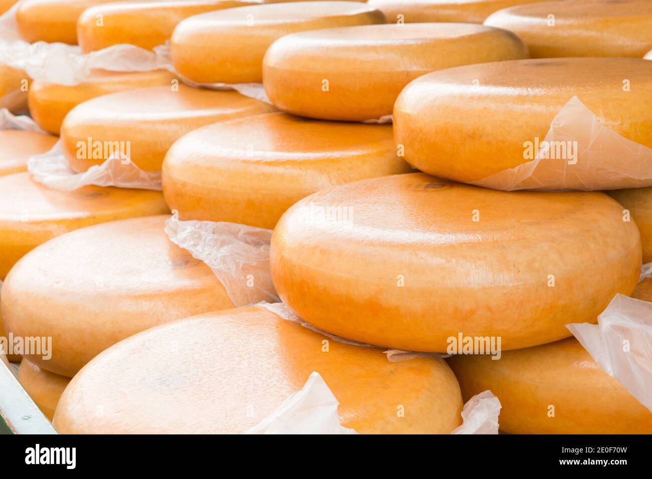 Wheels of Gouda Cheese stacked in a wagon after the market Stock Photo ...