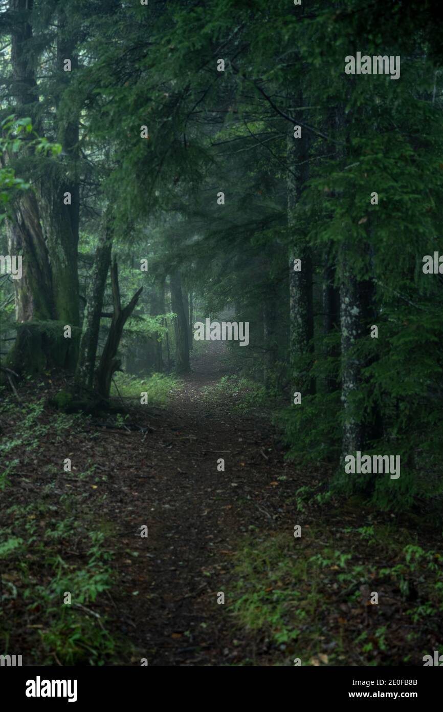 Straight away hi-res stock photography and images - Alamy