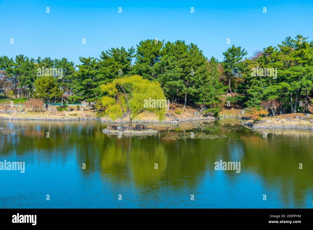 Park at Anapji pond grounds in Gyeongju, Republic of Korea Stock Photo ...