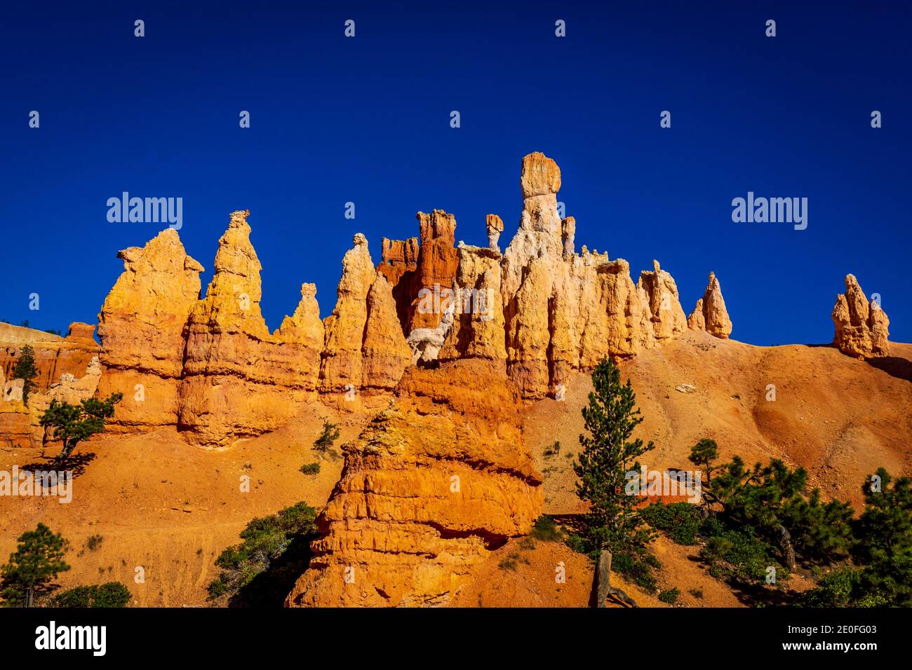 Hoodoos in Bryce Amphitheater, Bryce Canyon National Park, Utah Stock ...